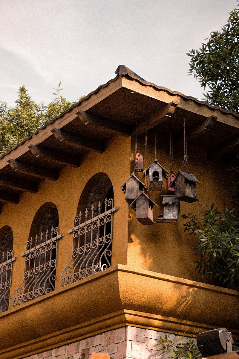 Home - Coyaba